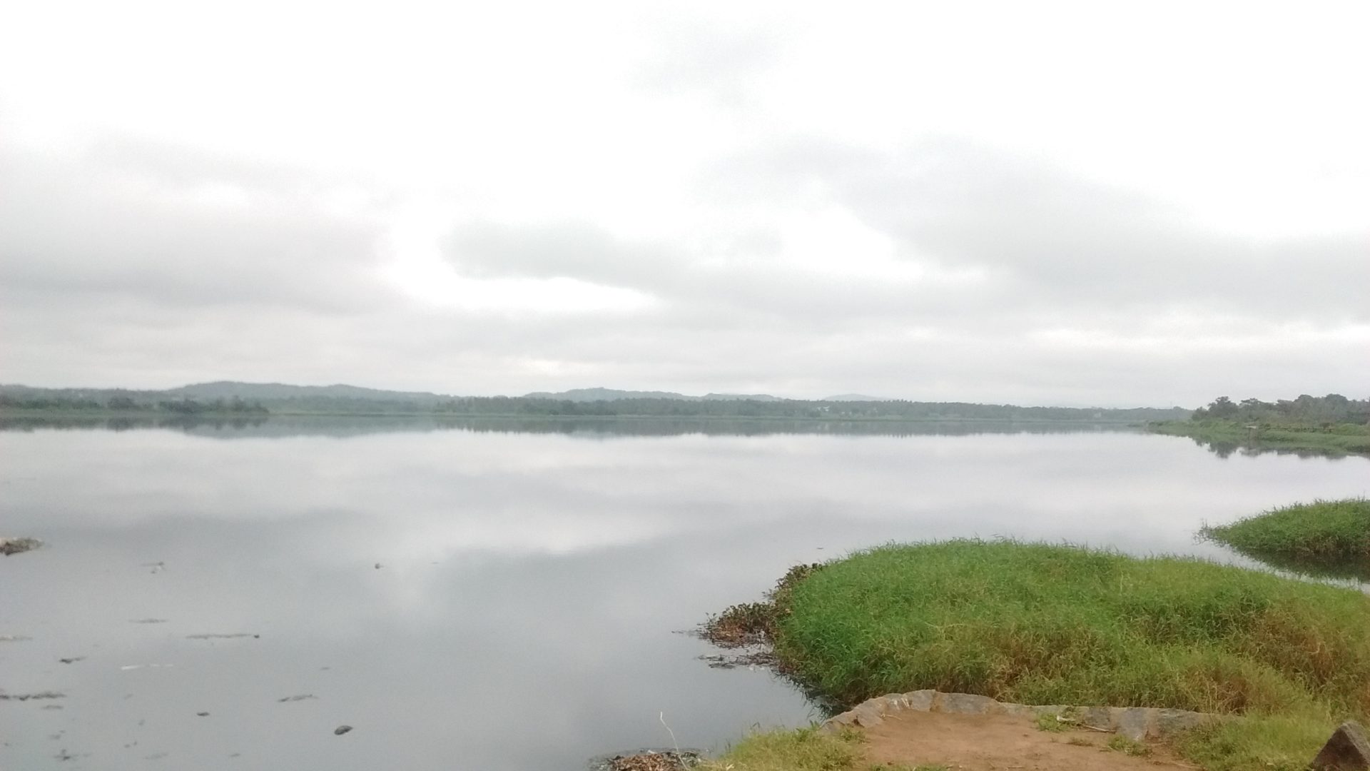 The story of Bangalore’s polluted Byramangala Lake, a man and his city ...